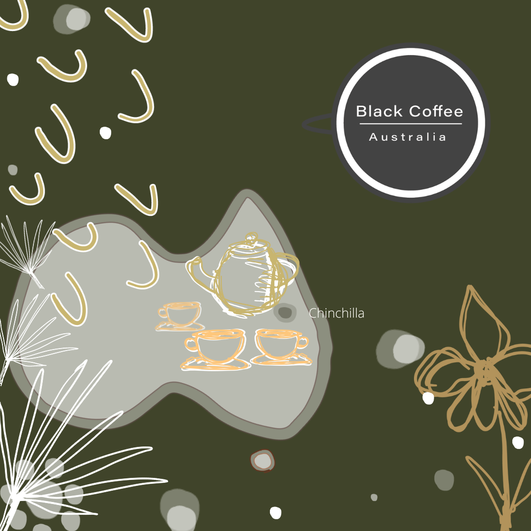 Chinchilla, Black Coffee - Black Coffee Australia